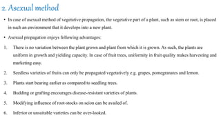 Cultivation and collections of drugs of natural origin..pptx