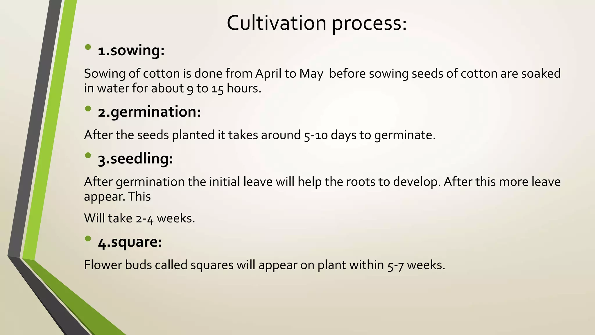 Cultivation and harvesting of cotton | PPTX