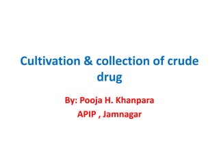 Cultivation & collection | PPT