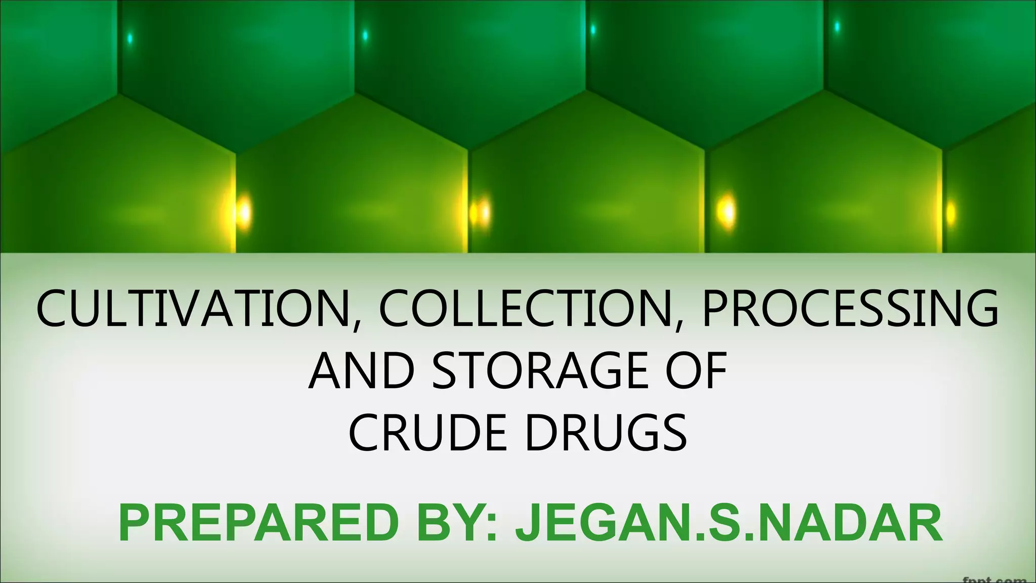 Cultivation,Collection, Processing and Storage of crude drugs | PDF