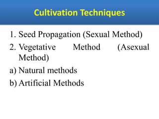 CULTIVATION, COLLECTION, PROCESSING AND STORAGE OF CRUDE DRUGS.pptx