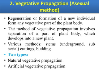 CULTIVATION, COLLECTION, PROCESSING AND STORAGE OF CRUDE DRUGS.pptx