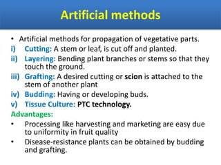 CULTIVATION, COLLECTION, PROCESSING AND STORAGE OF CRUDE DRUGS.pptx