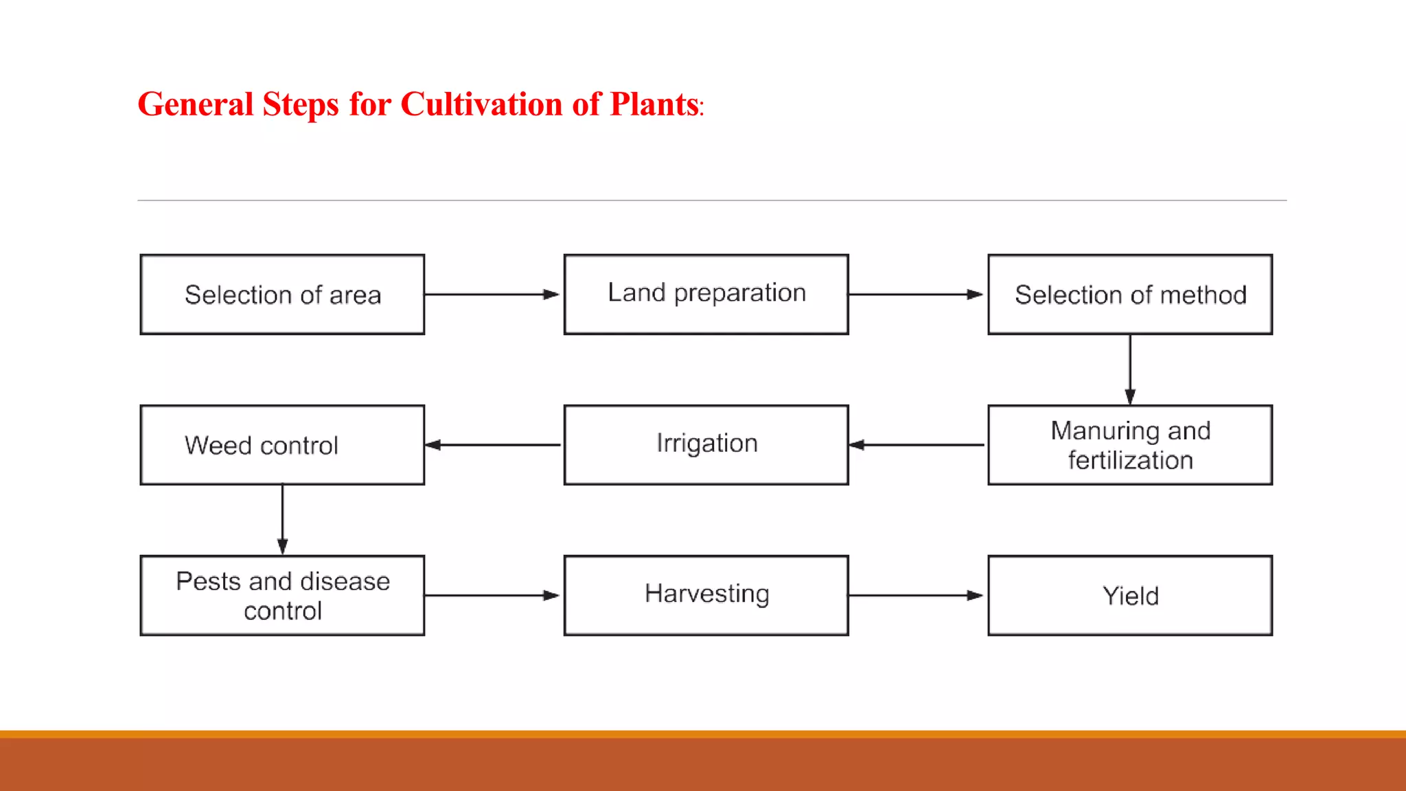 CULTIVATION, COLLECTION, PROCESSING AND STORAGE OF DRUGS OF NATURAL ...
