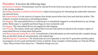 CULTIVATION, COLLECTION, PROCESSING AND STORAGE OF DRUGS OF NATURAL ...