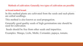 CULTIVATION, COLLECTION, PROCESSING AND STORAGE OF DRUGS OF NATURAL ...