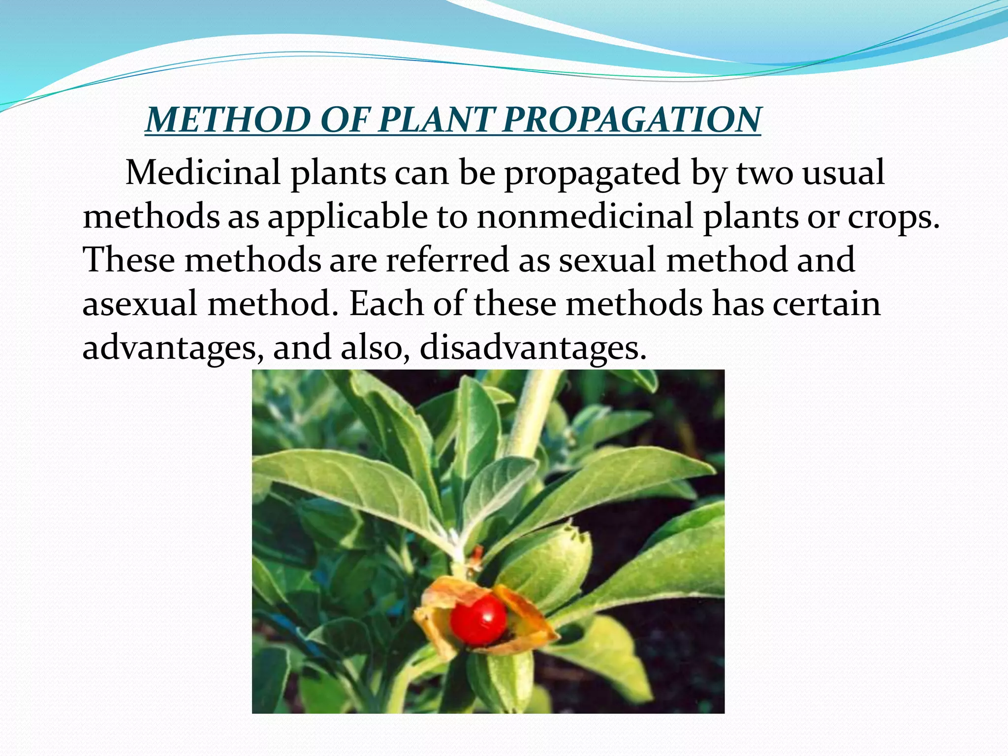 Cultivation,collection,processing,preservation and storage of medicinal ...