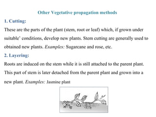 Cultivation, collection,storage of crude drugs | PPT