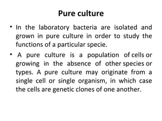 Cultivation, growth and nutrition of bacteria | PPT
