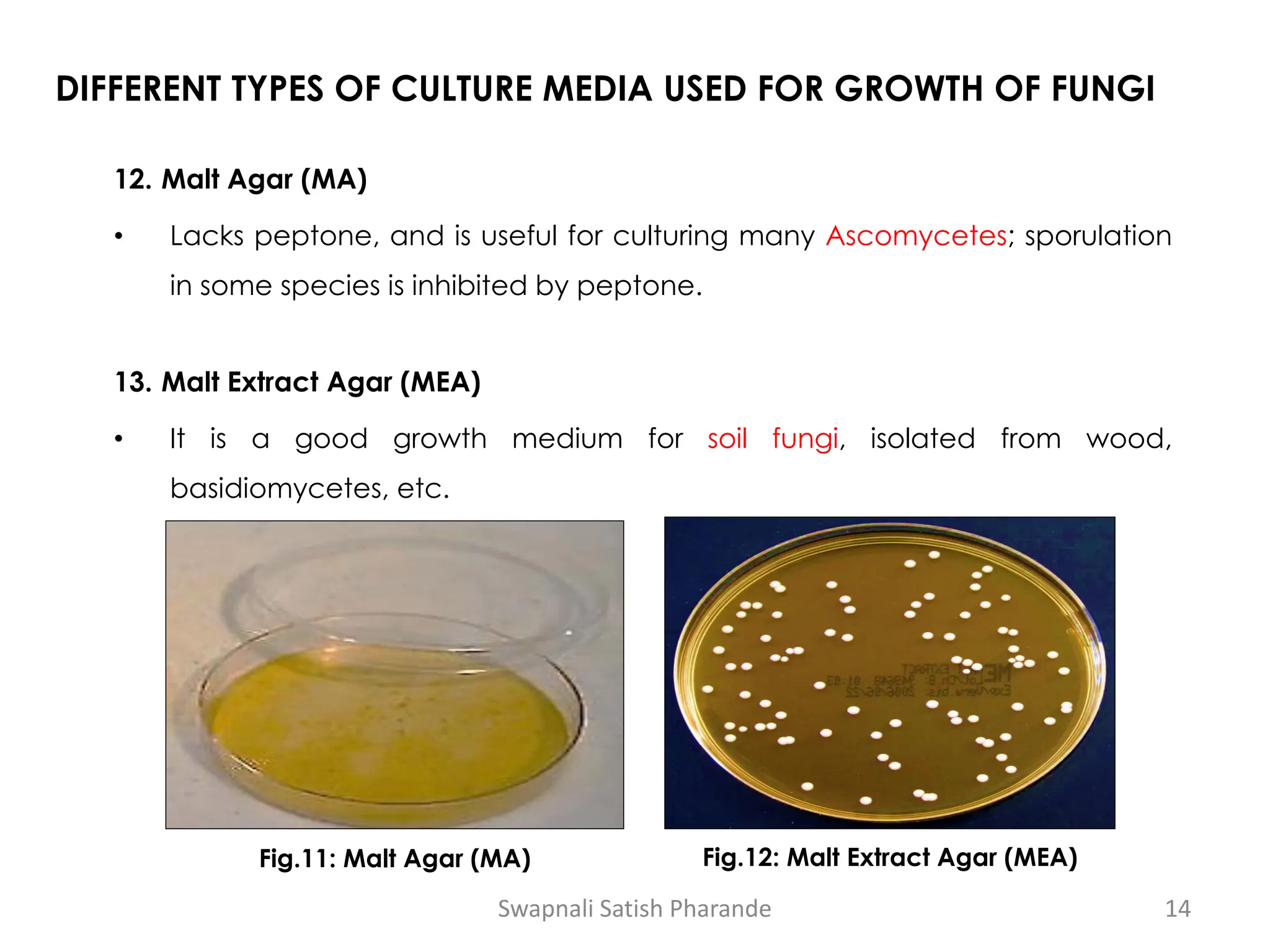 Cultivation,Isolation and Staining of Fungal Culture.pdf