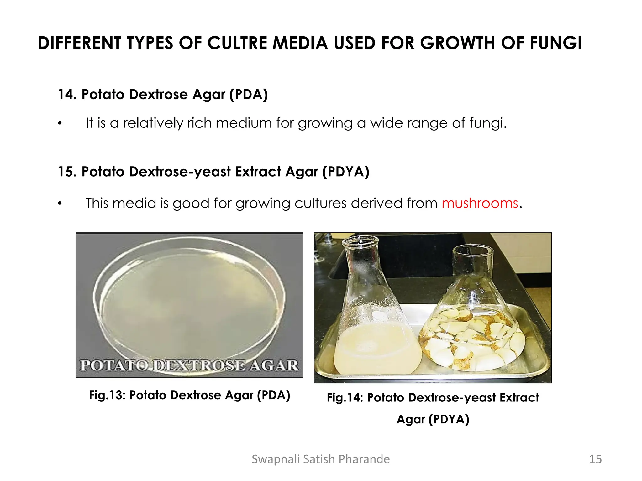 Cultivation,Isolation and Staining of Fungal Culture.pdf