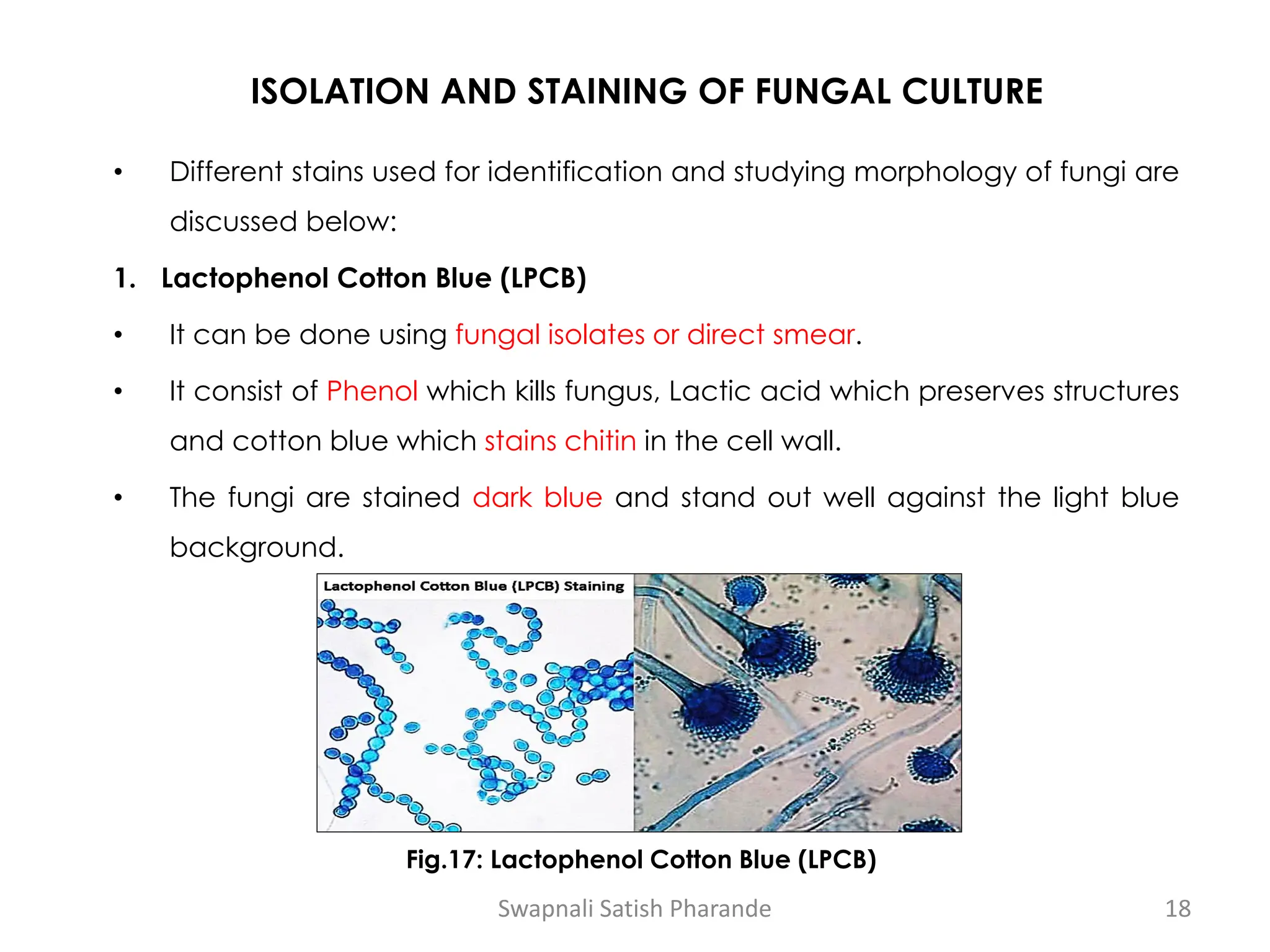 Cultivation,Isolation and Staining of Fungal Culture.pdf