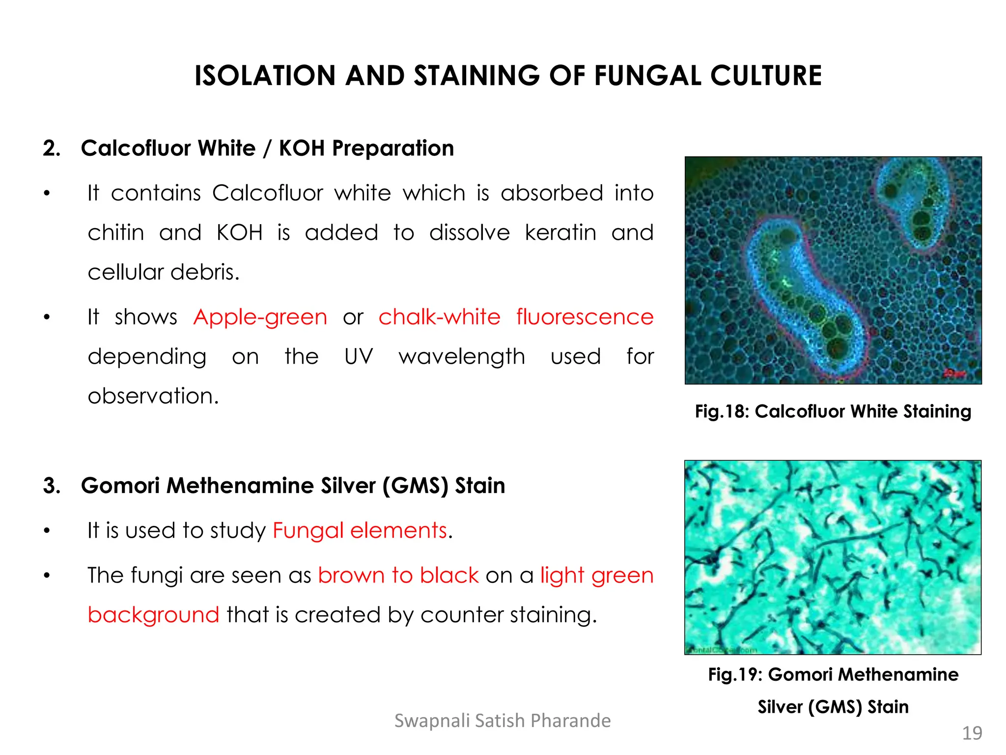 Cultivation,Isolation and Staining of Fungal Culture.pdf