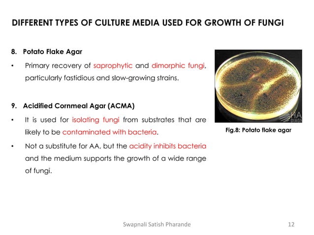 Cultivation,Isolation and Staining of Fungal Culture.pdf | Agriculture ...