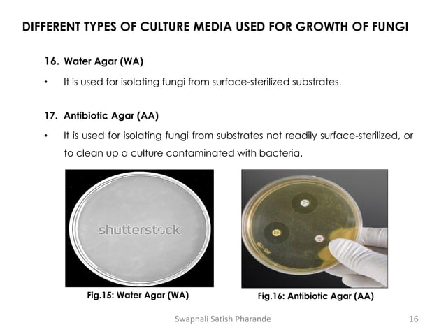 Cultivation,Isolation and Staining of Fungal Culture.pdf | Agriculture ...