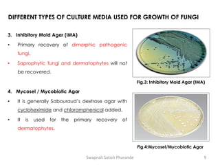 Cultivation,Isolation and Staining of Fungal Culture.pdf