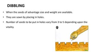 Cultivation methods.pptx.pdf#pharmacogno | PPT