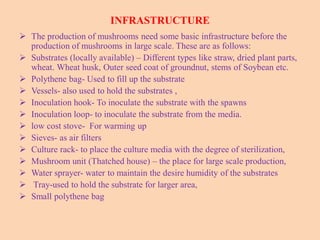 Cultivation methods of Mushrooms(1).pdf