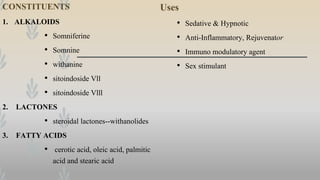 Cultivation of Ahwagandha | PPTX