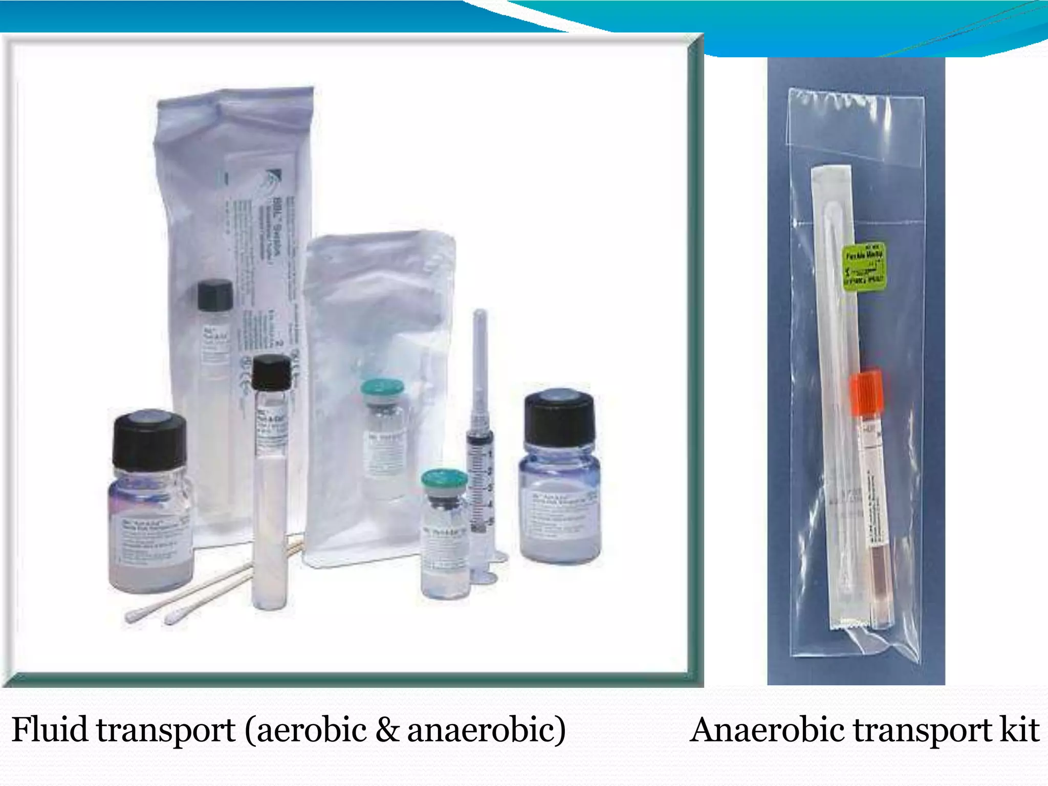 Cultivation of anaerobes | PPT