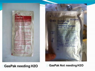 Cultivation of anaerobes | PPT