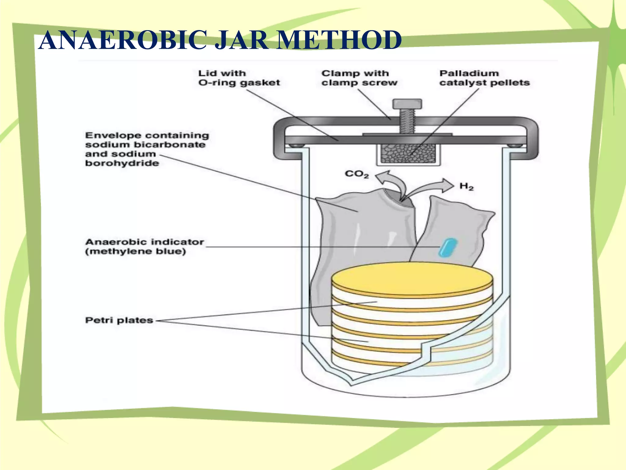 Cultivation of Anaerobic Bacteria | PPTX
