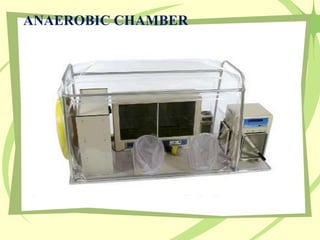 Cultivation of Anaerobic Bacteria | PPTX