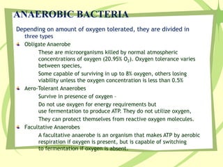 Anaerobic Bacteria Examples