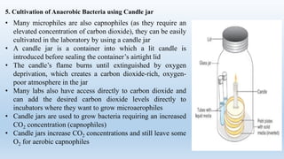 Cultivation of Anaerobic Bacteria ppt.pdf