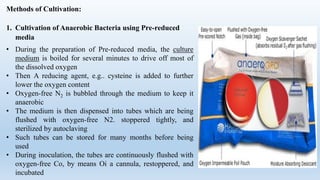Cultivation of Anaerobic Bacteria ppt.pdf