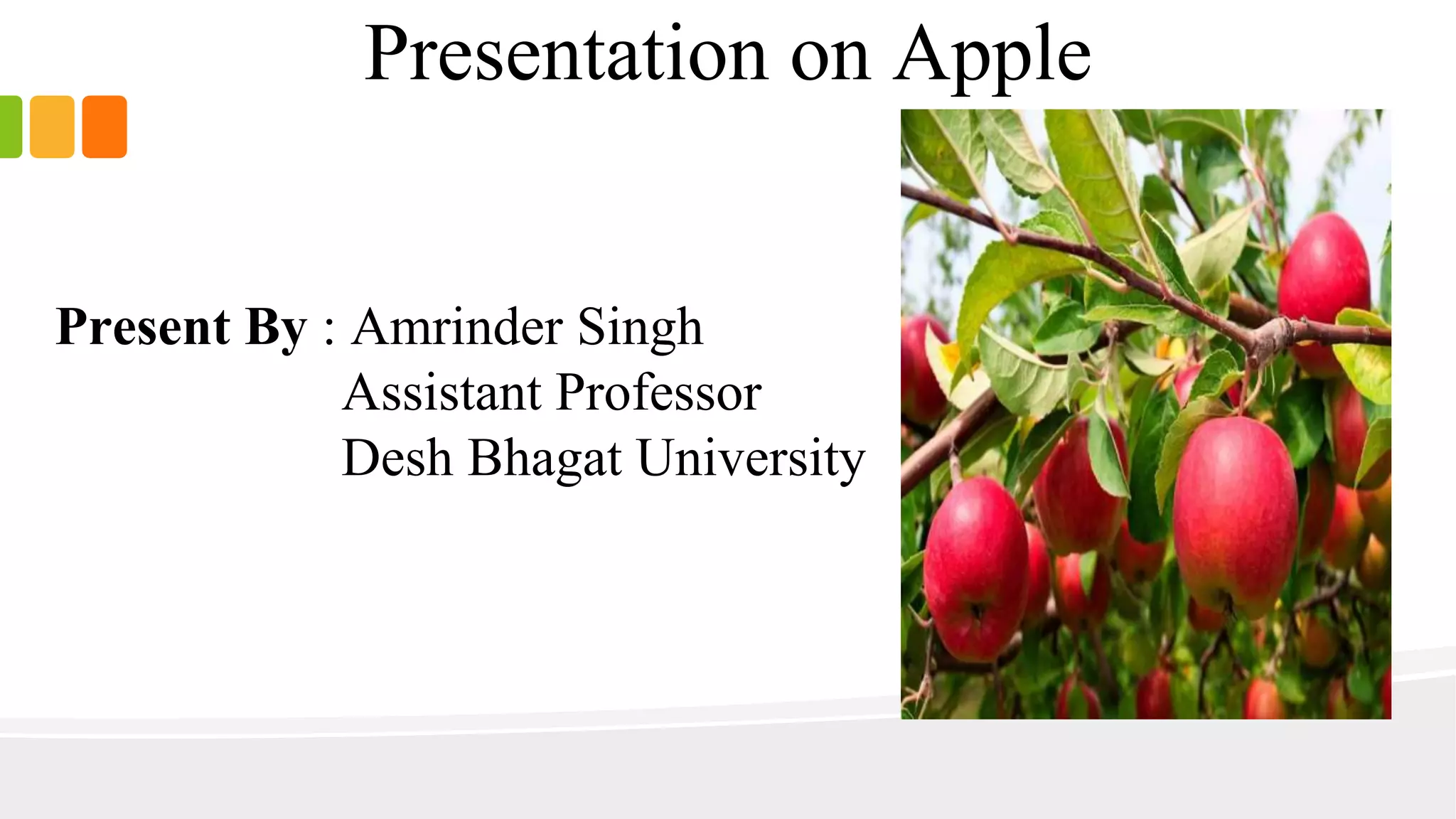 cultivation of apple | PPTX