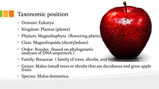 cultivation of apple | PPT