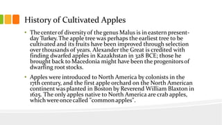 cultivation of apple | PPTX