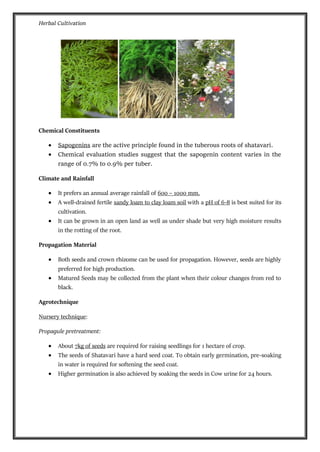 Cultivation of Asparagus racemosus. | PDF