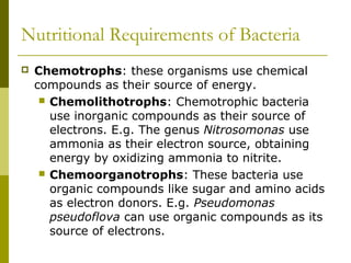 Cultivation of Bacteria | PPT