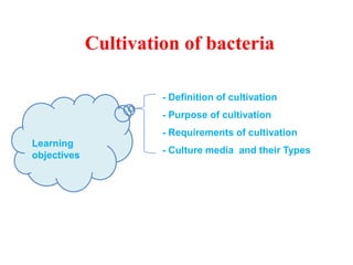 Cultivation of bacteria | PDF | Agriculture | Industries