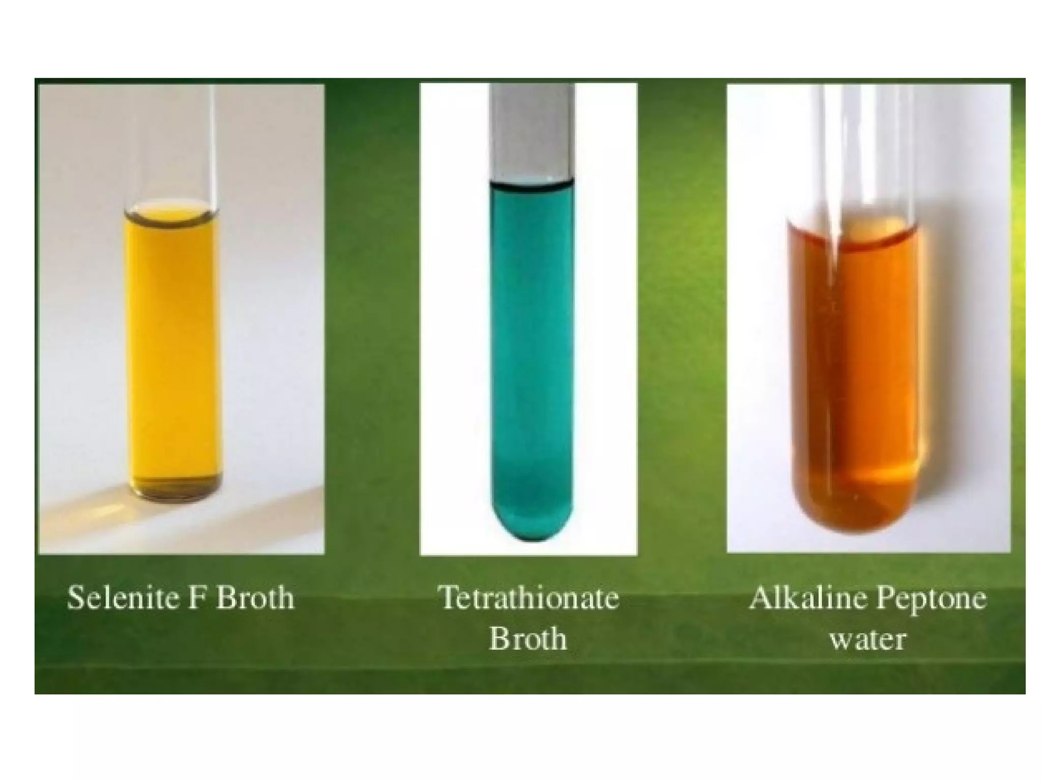 Cultivation of bacteria and culture methods | PPT