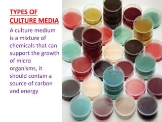 Cultivation of bacteria-Nimisha Kaikkolante | PPTX