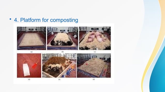 Cultivation Of Button Mushroom Agaricus Pptx Pptx