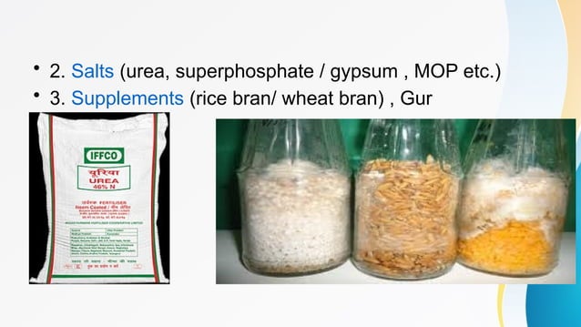 Cultivation Of Button Mushroom Agaricus Pptx Pptx