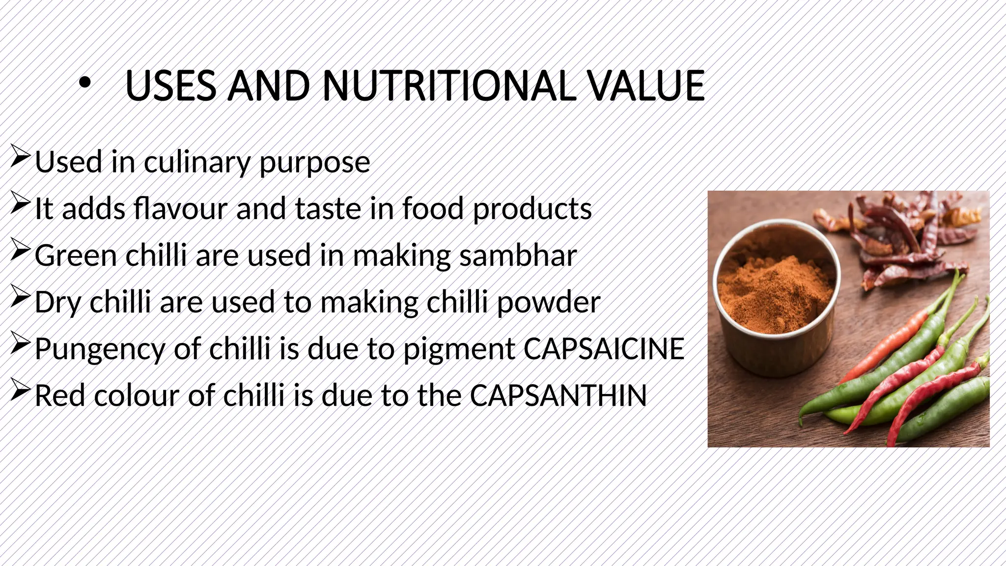CULTIVATION OF CHILLI.pptx full detailed presentation | PPTX