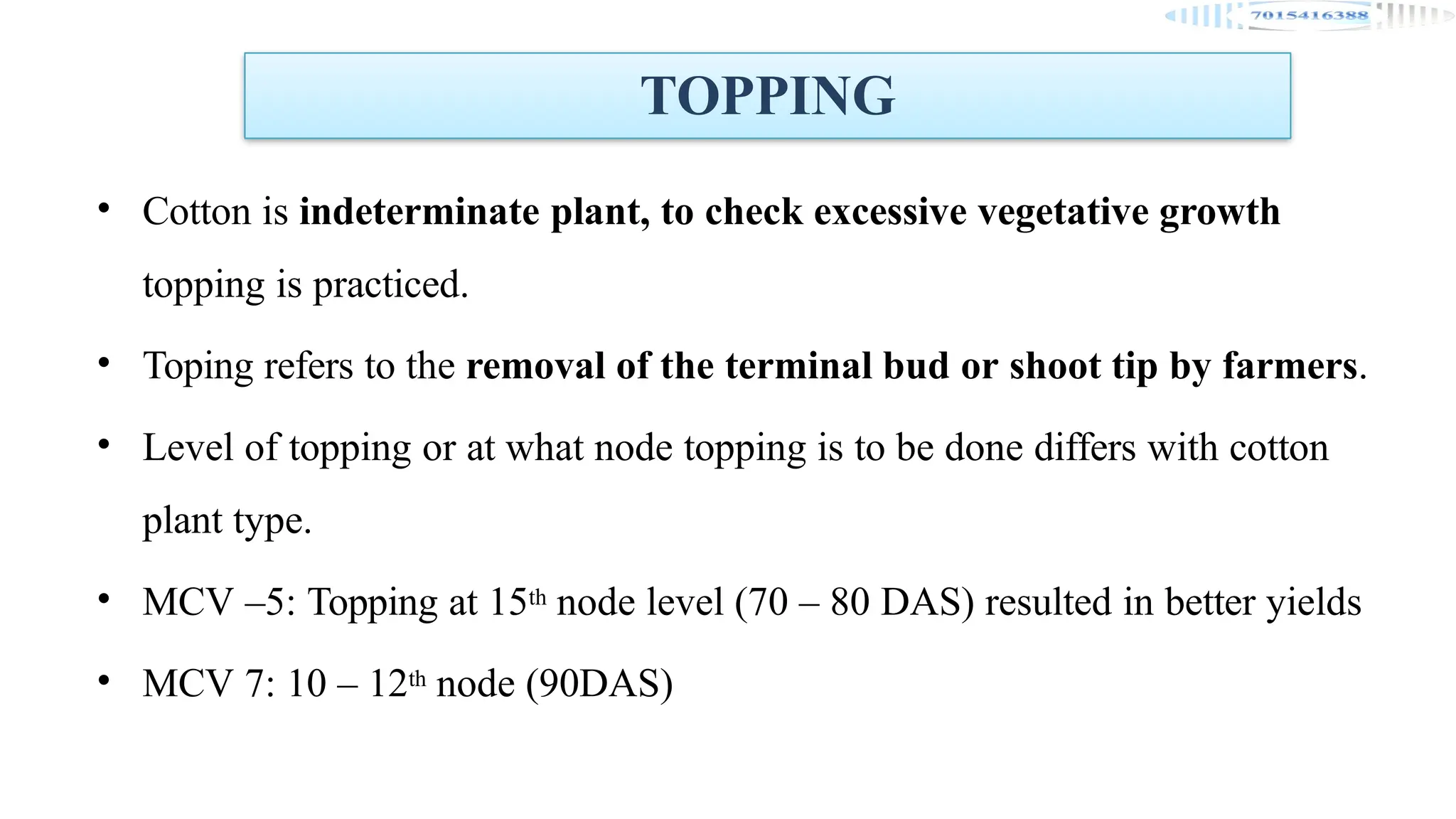 Cultivation practices of cotton crop .pptx