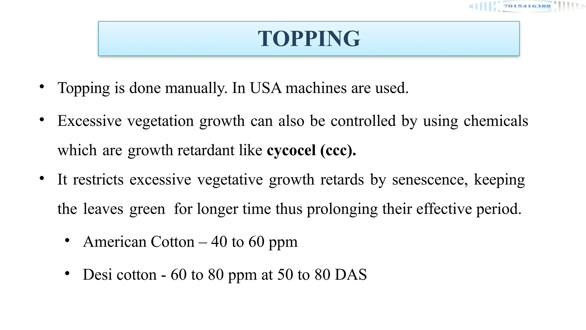 Cultivation practices of cotton crop .pptx