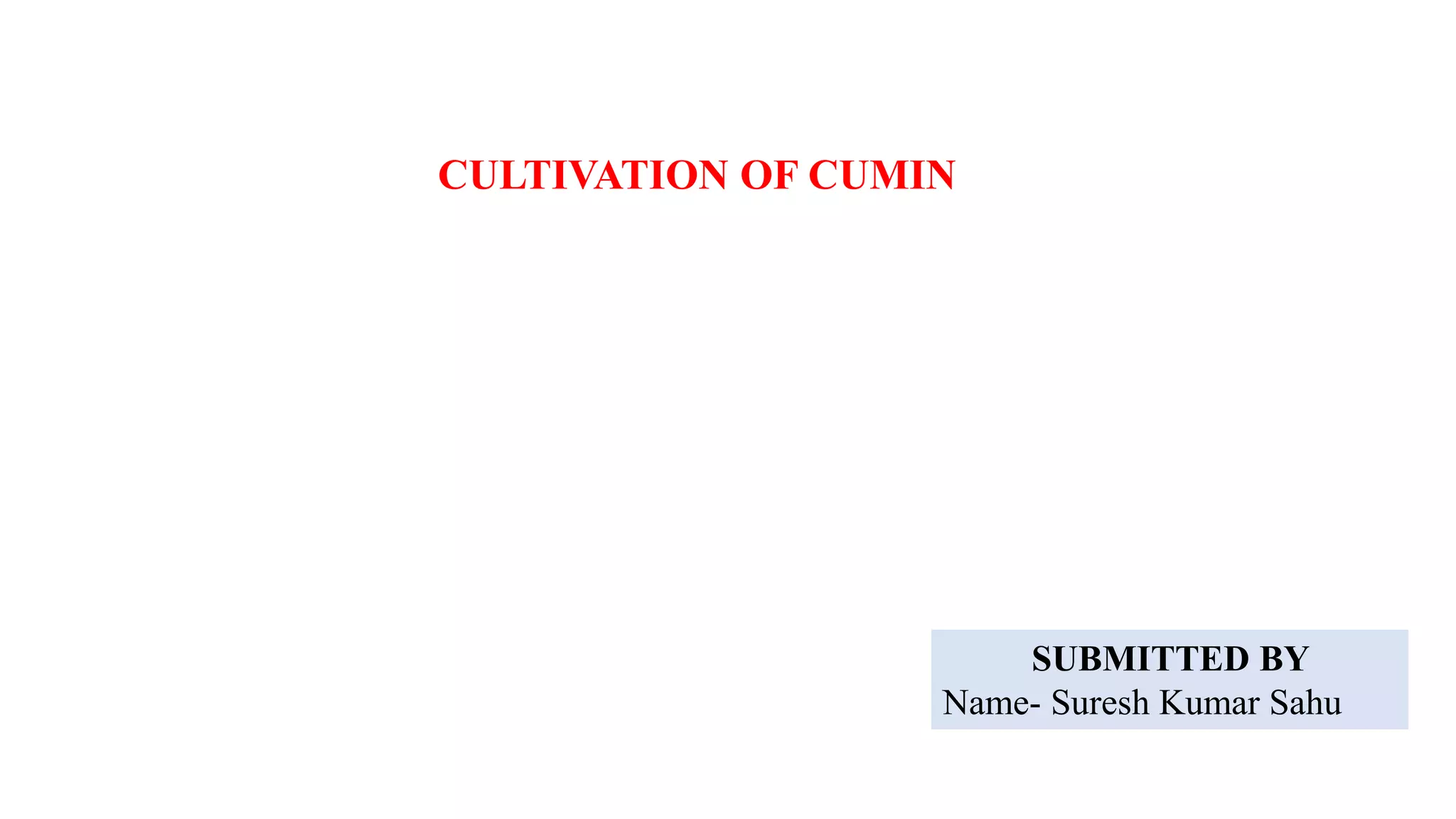 Cultivation of cumin | PPTX