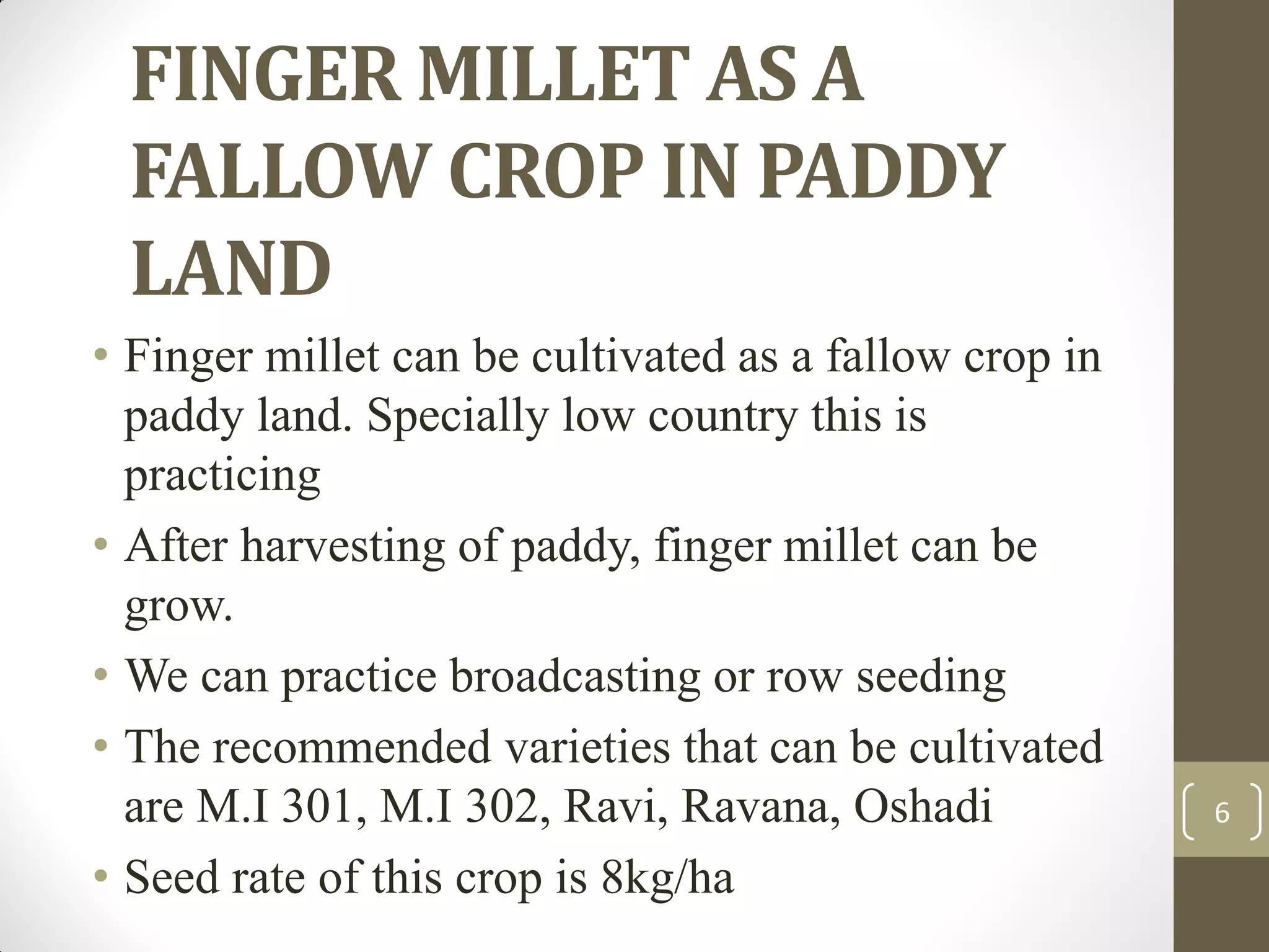Cultivation of finger millet in paddy land as fallow crop | PDF