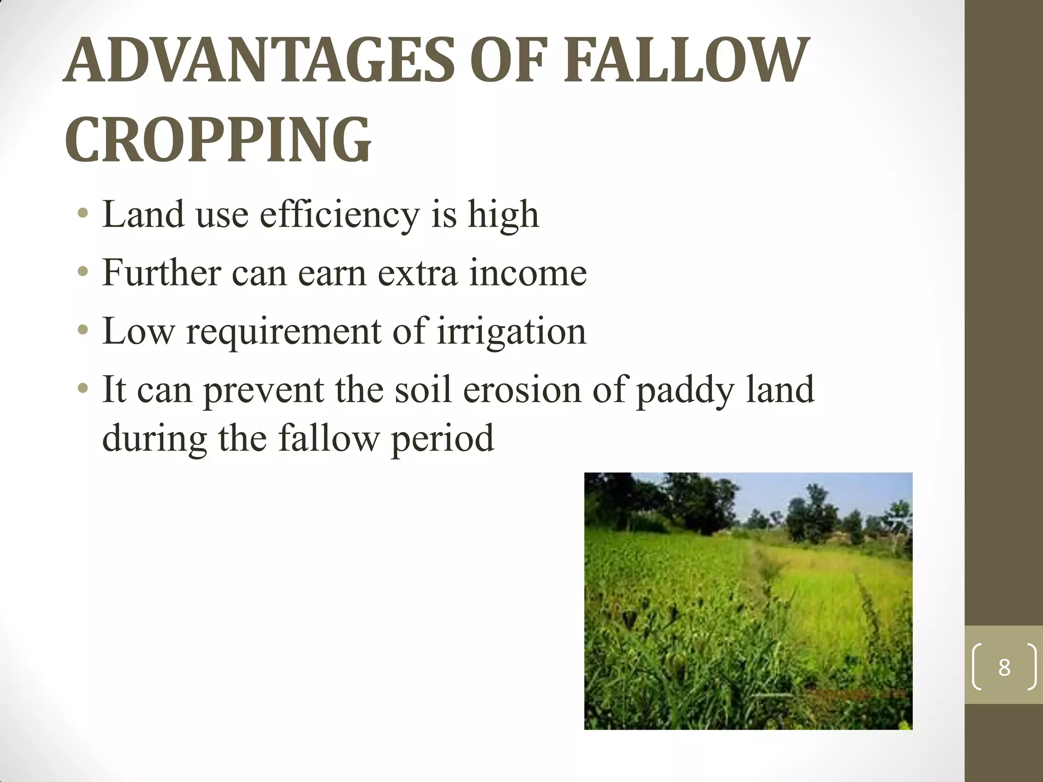 Cultivation of finger millet in paddy land as fallow crop | PDF