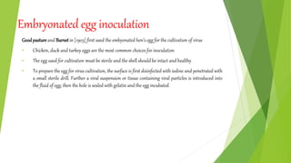 Cultivation of human viruses and its different techniques. | PPTX