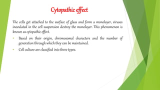 Cultivation of human viruses and its different techniques. | PPTX