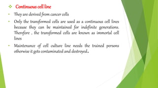 Cultivation of human viruses and its different techniques. | PPTX