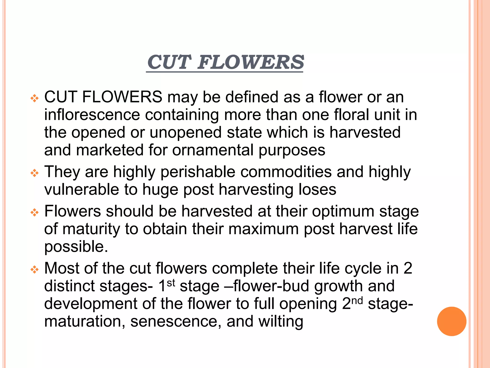 CULTIVATION OF IMPORTANT CUT FLOWERS.pptx